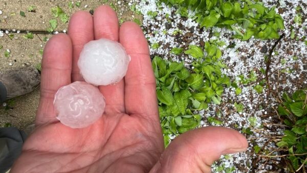 Hail Damage on Your Roof: Essential Steps for Homeowners